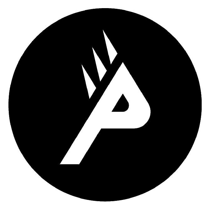 Punkva tribute band fan shop